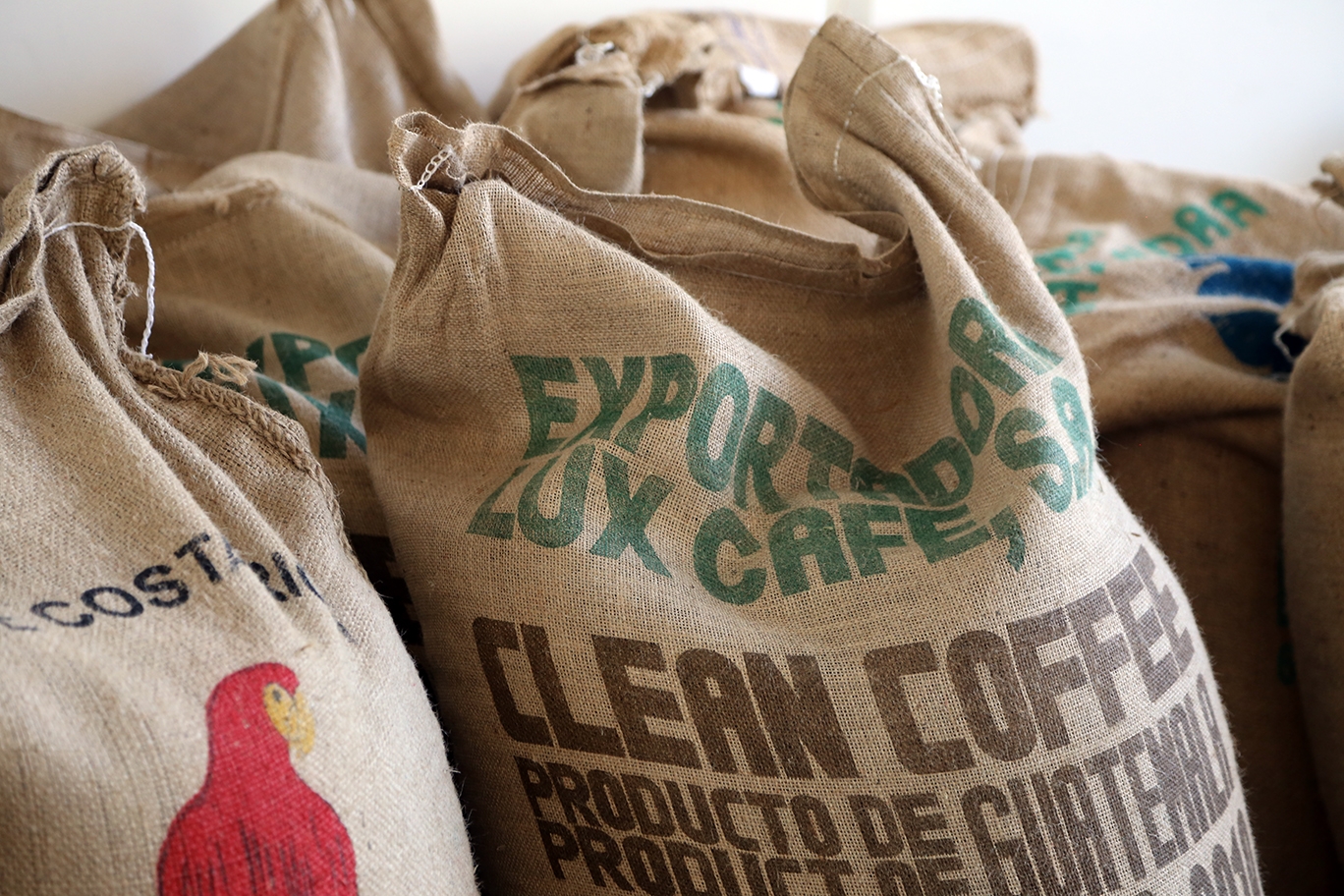 Wholesale specialty organic coffee beans and cafe supplies